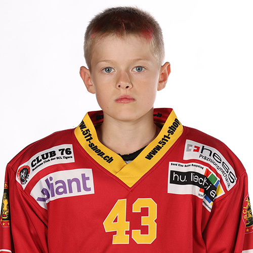 Nick Gerber - Young Tigers